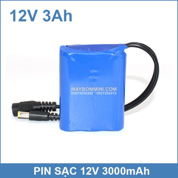 Pin sạc 12V 3000mAh kèm sạc pin