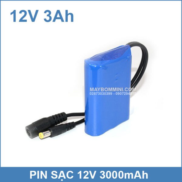 Pin sạc 12V 3000mAh kèm sạc pin